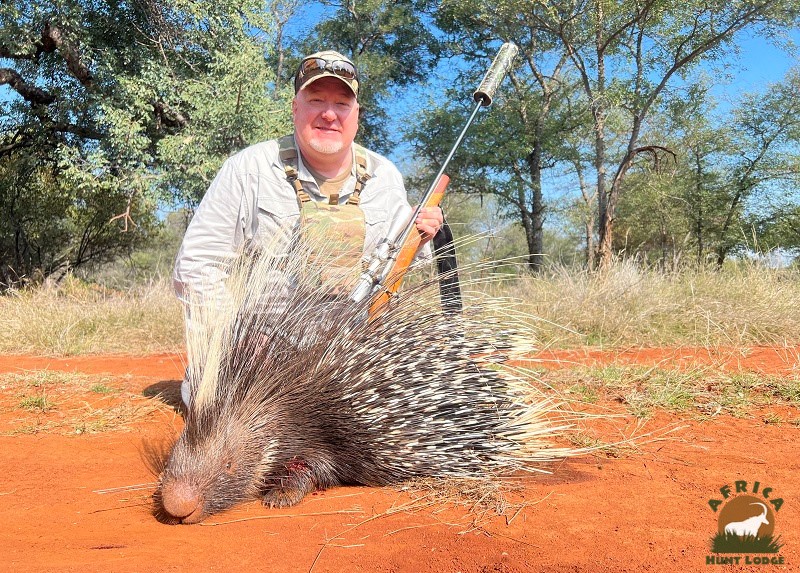 African Porcupine Hunting | Africa Hunt Lodge | South African Hunts