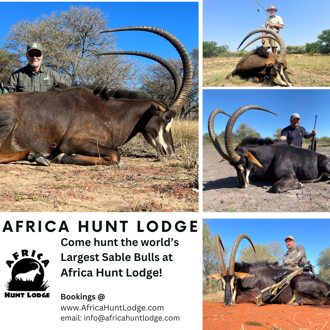 The Largest Sable Bulls in Africa | Africa Hunt Lodge
