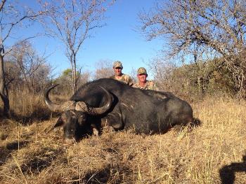 Cape Buffalo Hunting | Africa Hunt Lodge | South Africa Hunts