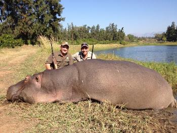 Hippo Hunting | Africa Hunt Lodge | South Africa Hunts