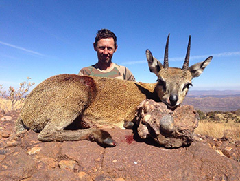 Klipspringer Hunting | Africa Hunt Lodge | South Africa Hunts
