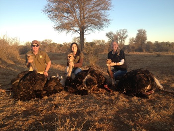 Ostrich Hunting | Africa Hunt Lodge | South Africa Hunts